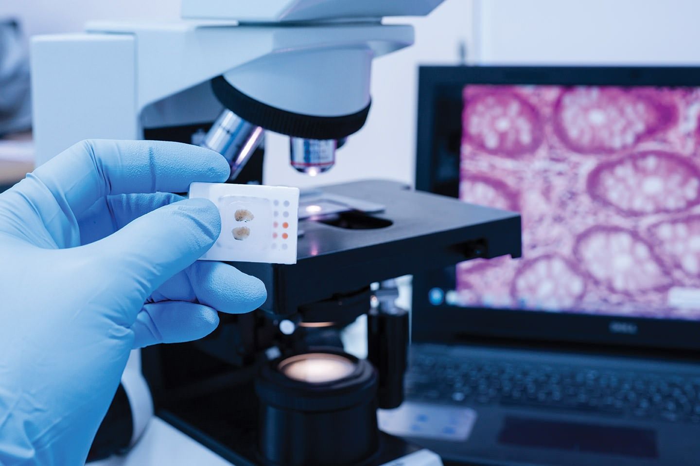 CSA Pathology - Experience. Better Results.