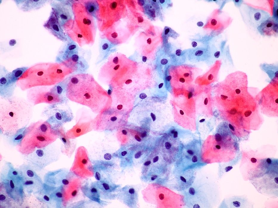 Amber Scientific - a CSA Pathology brand