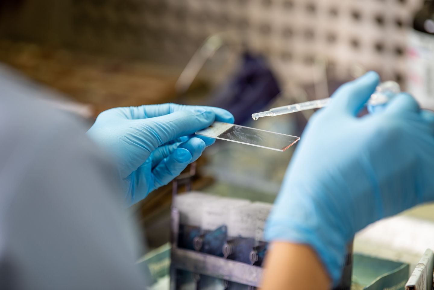 Amber Scientific - a CSA Pathology brand