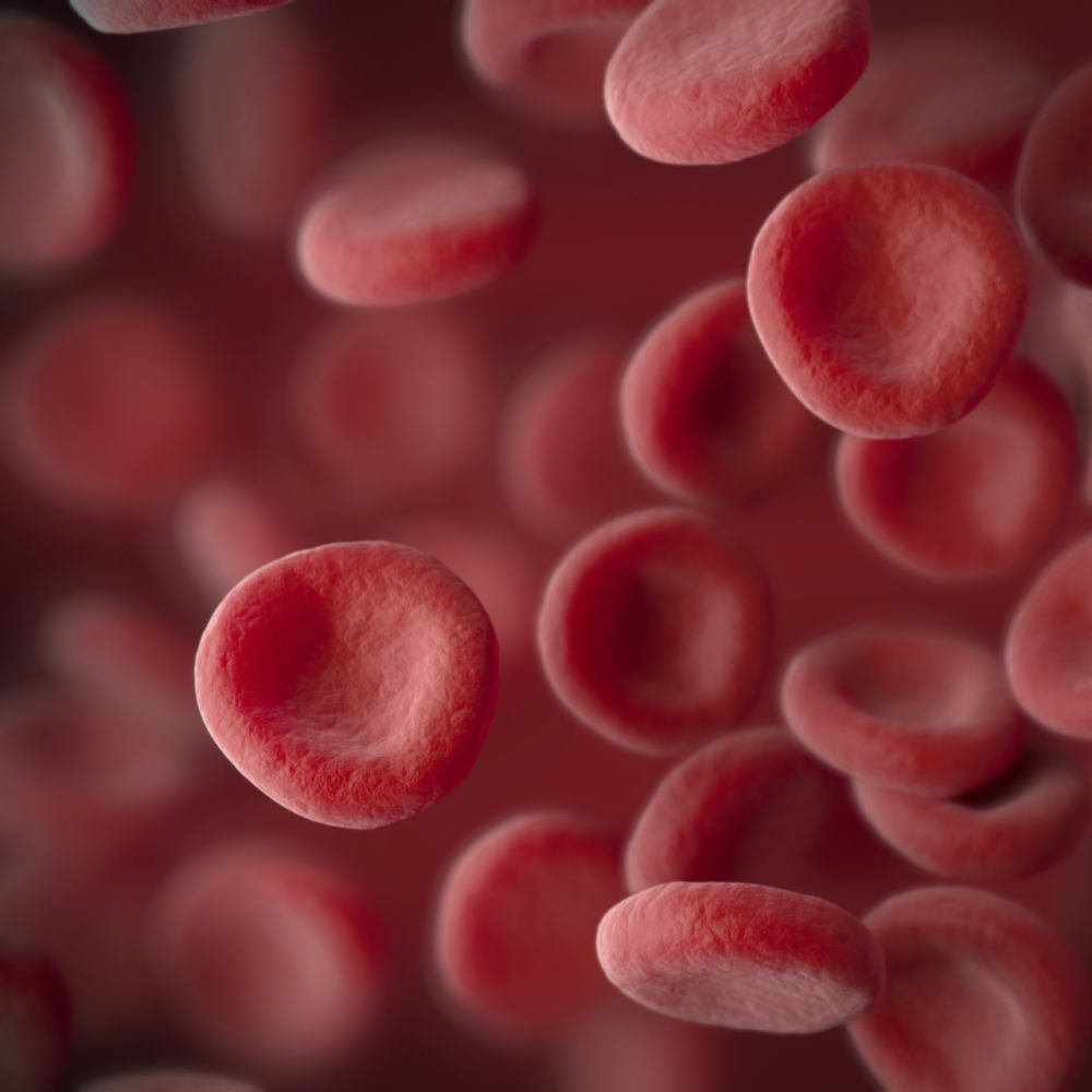 CSA Pathology - Experience. Better Results.