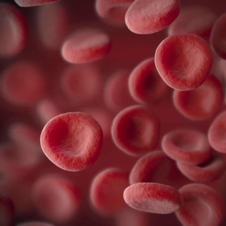 CSA Pathology - Experience. Better Results.